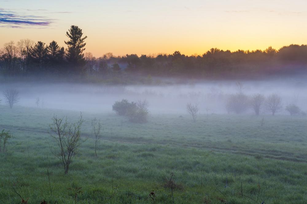 Oyster River Forest | The Town of Durham New Hampshire