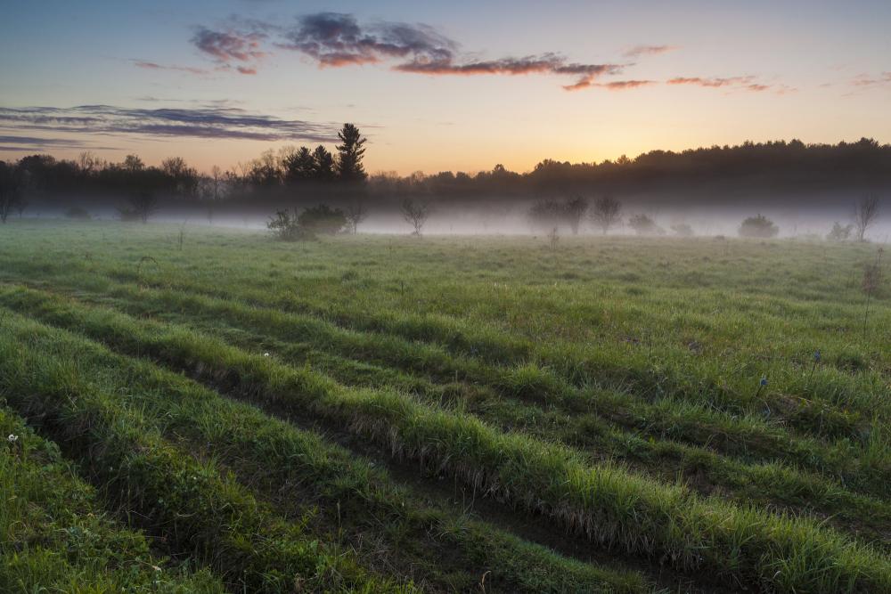 Oyster River Forest | The Town of Durham New Hampshire