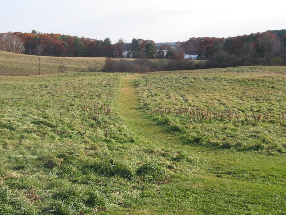 Wagon Hill Farm | The Town of Durham New Hampshire