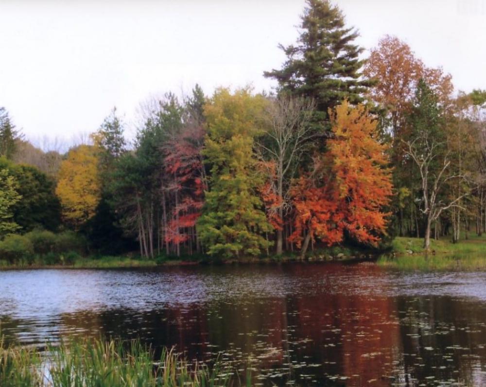 Mill Pond Park | The Town of Durham New Hampshire