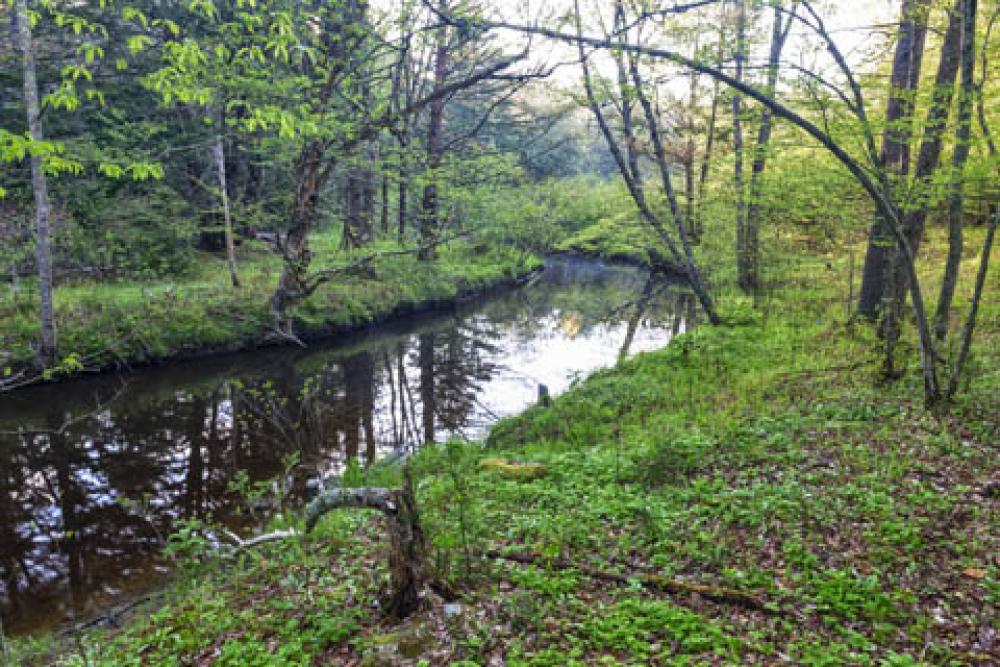 Conservation Lands and Parks | The Town of Durham New Hampshire