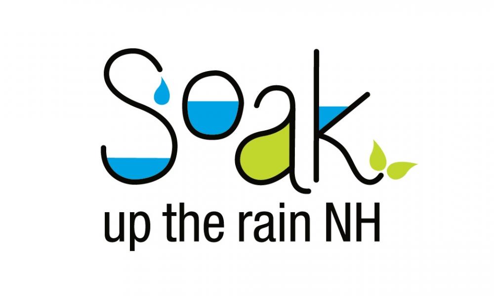 Soak Up the Rain NH - Your Land, Your Water, Your Solution | The Town ...